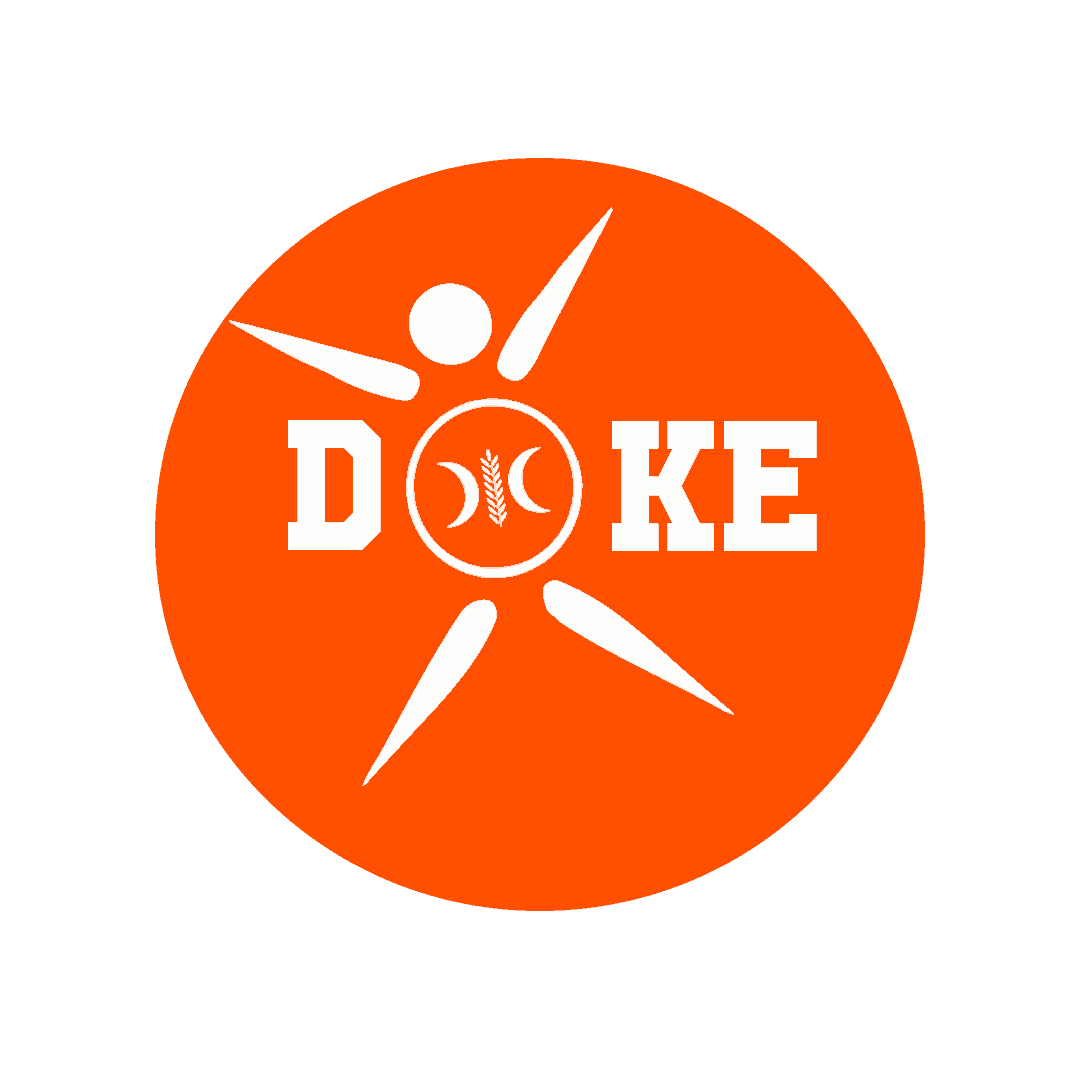 Didik Logo